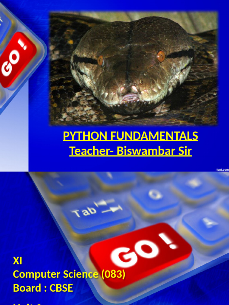 Biswa Sir Python Fundamentals | PDF