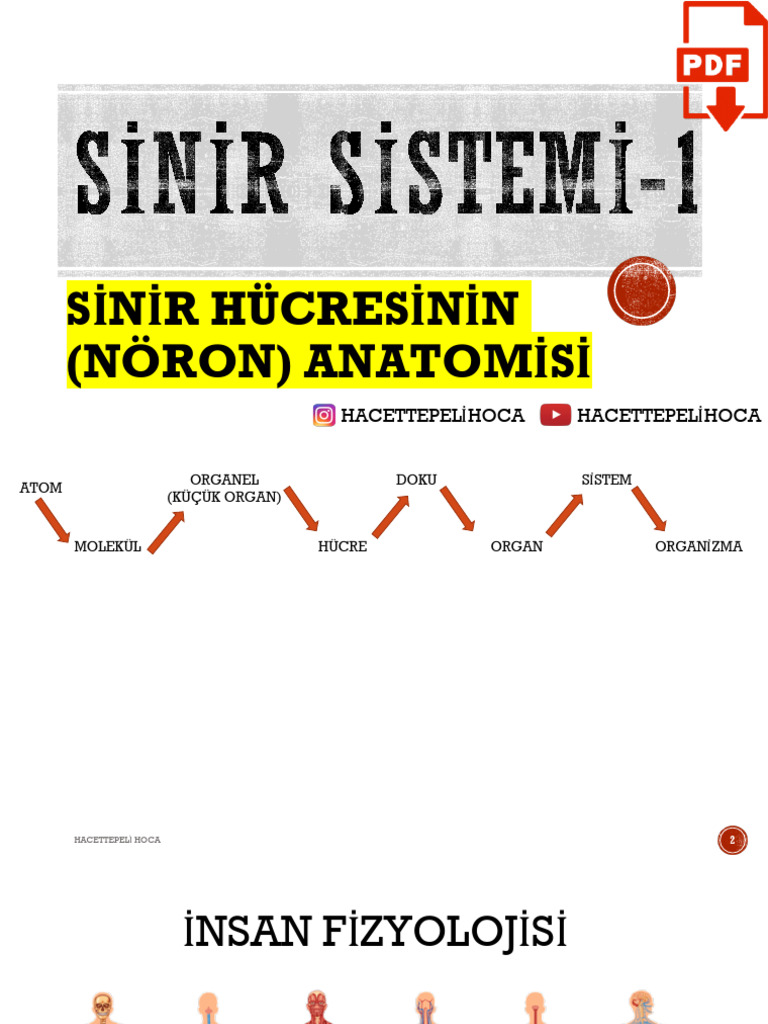 164 - Si̇ni̇r Si̇stemi̇ 1 - 11. Sinif PDF | PDF