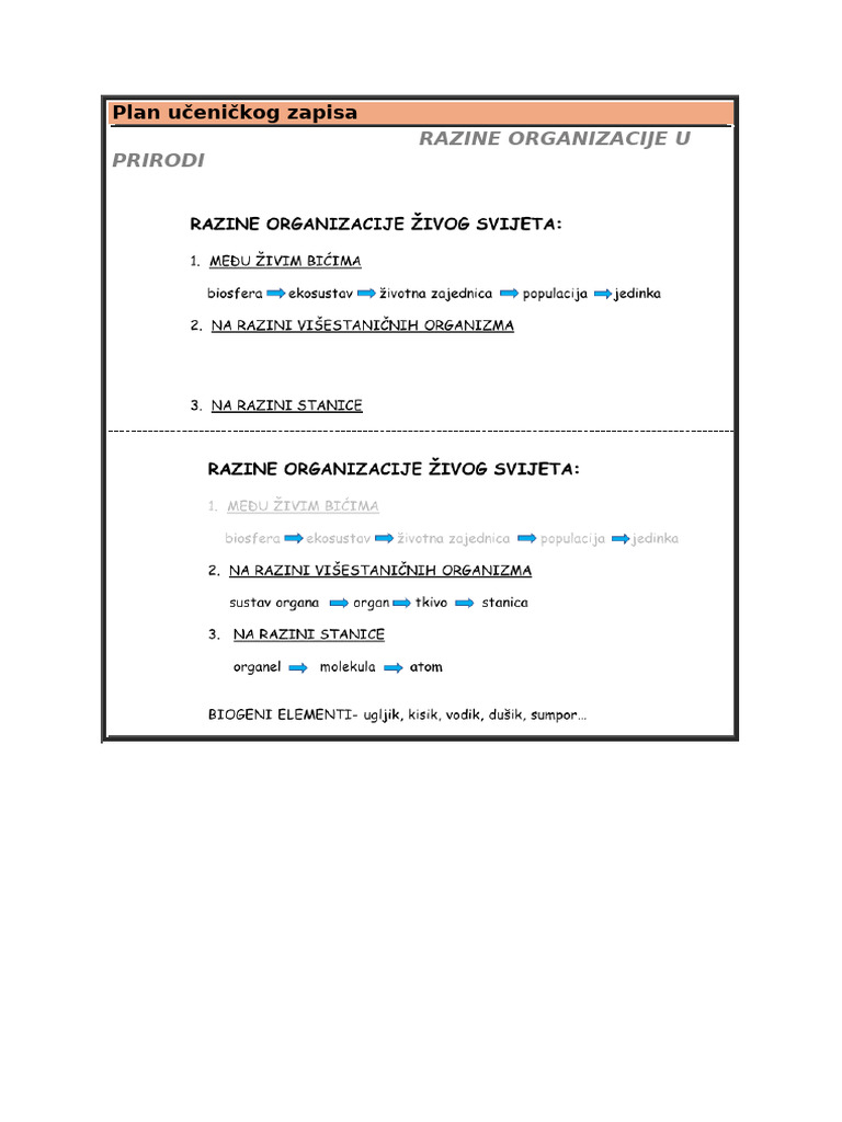 Plan Učeničkog Zapisa (Organizacijske Razine) | PDF