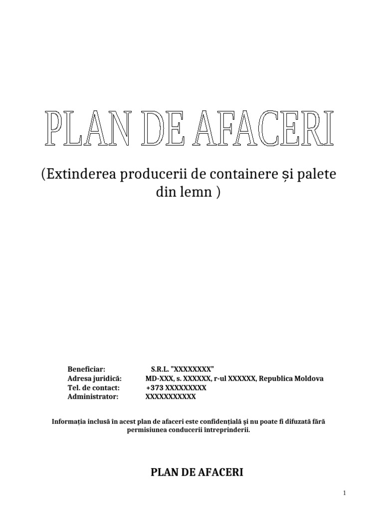 Plan de Afaceri 11111 | PDF