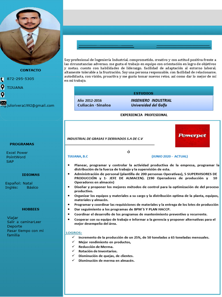 CV Julio Cesar Rivera 2023 (1) - 4 | PDF | Business | Análisis de Riesgo y Puntos Críticos de ...