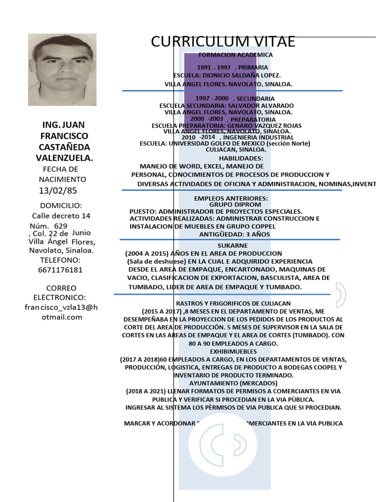 Curriculum Juan Fco | PDF | Business