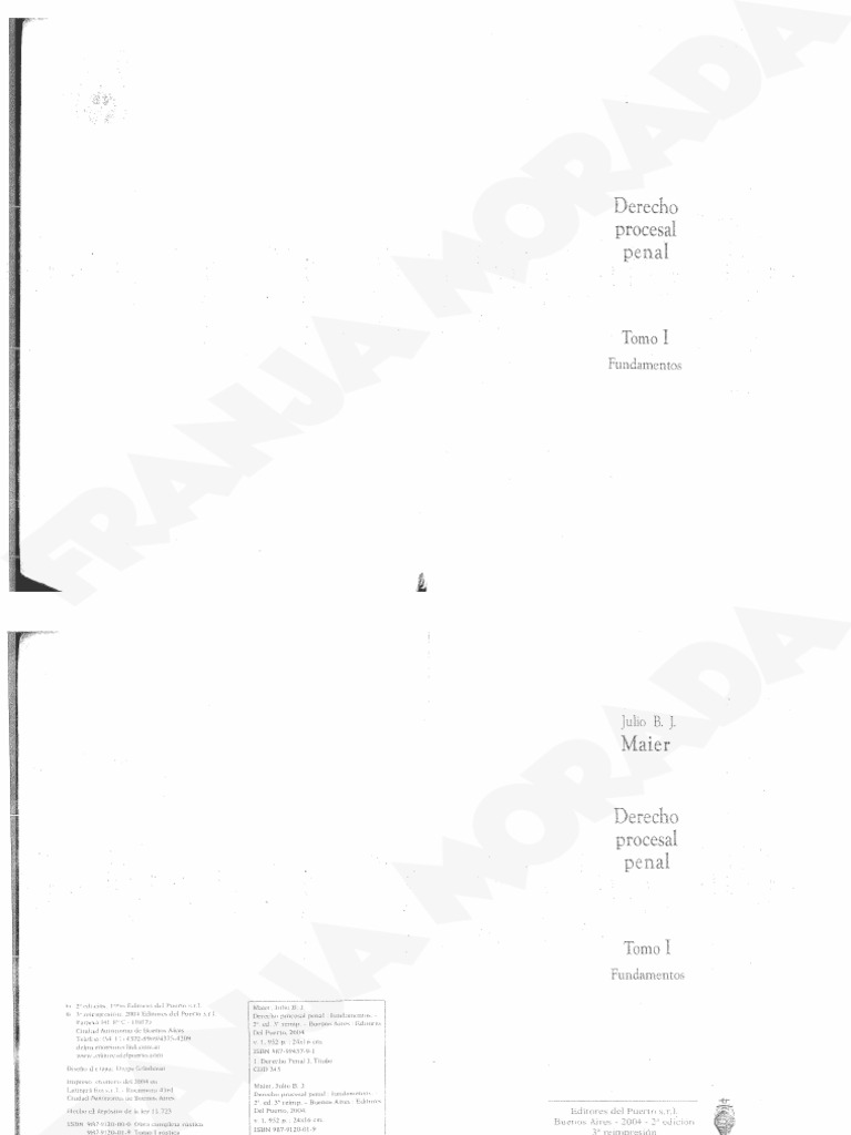 Julio B. J. Maier - Derecho Procesal Penal. 1-Del Puerto (2004) 2 | PDF