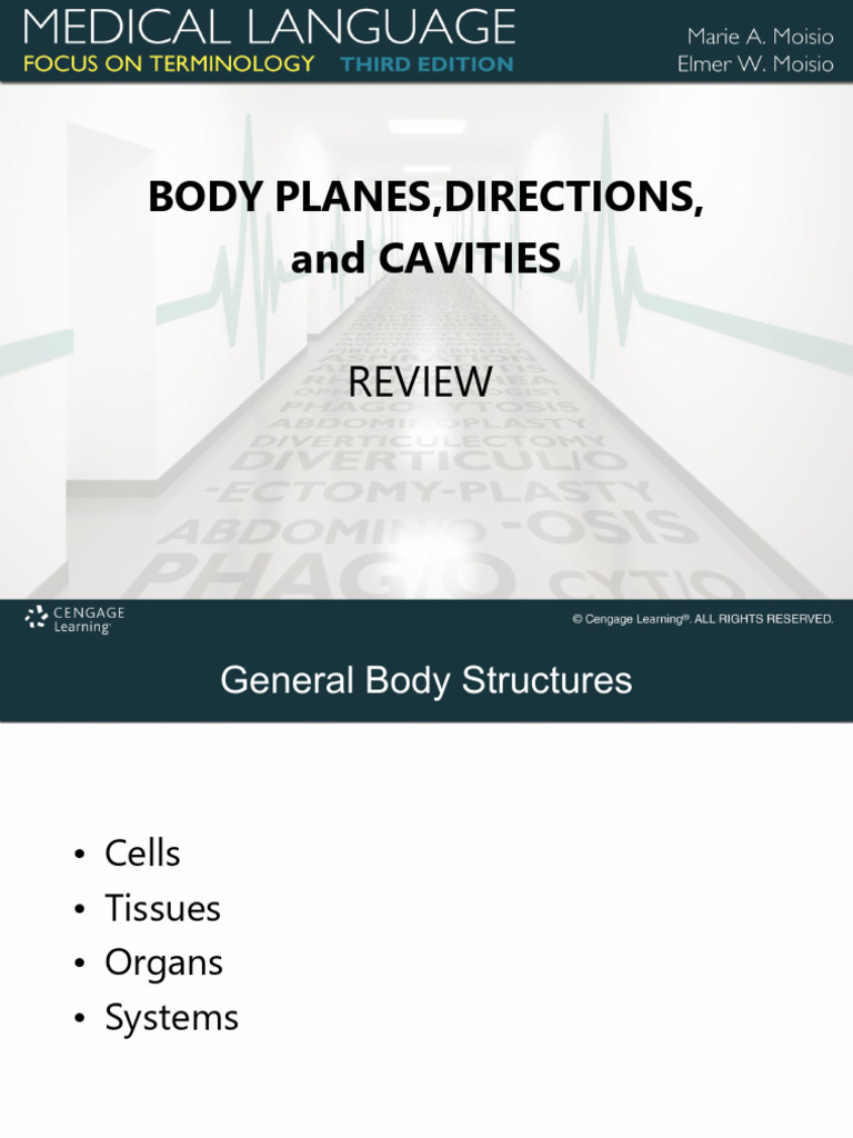 Body Planes Directions and Cavities | PDF