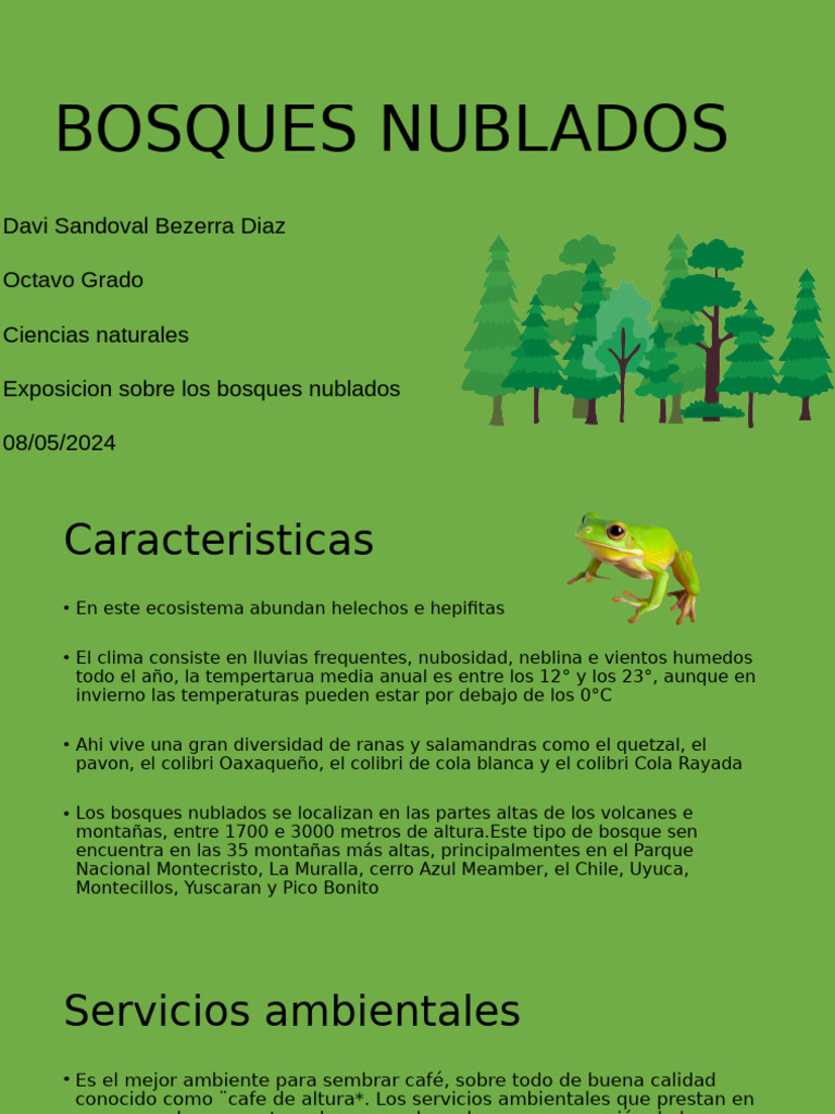 Los Bosques Nublados | PDF | Ciencia y matemáticas