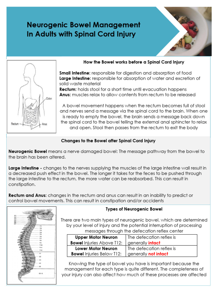 Bowel Education Handout | PDF