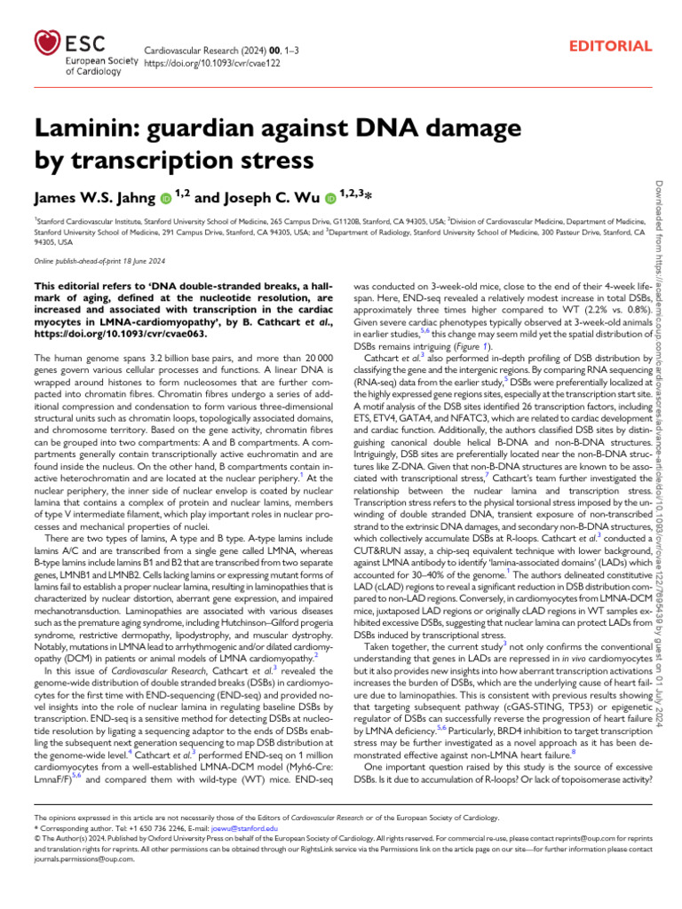 Laminin - Guardian Against DNA Damage | PDF | Chromatin | Science ...