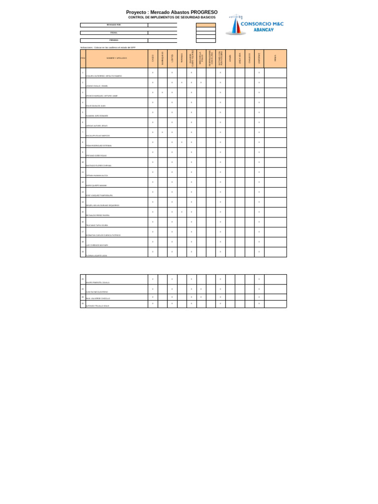 CYM- Control de EPP-PROGRESO AL 30-06 | PDF