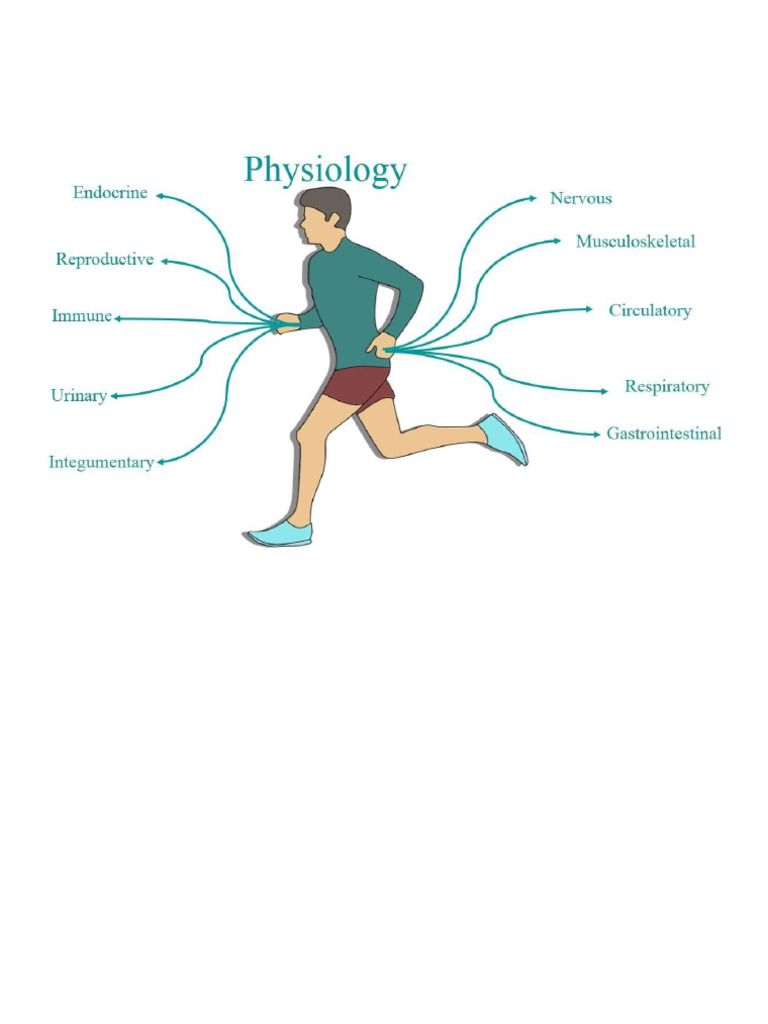 Lecture 1-Introduction to Physiology | PDF