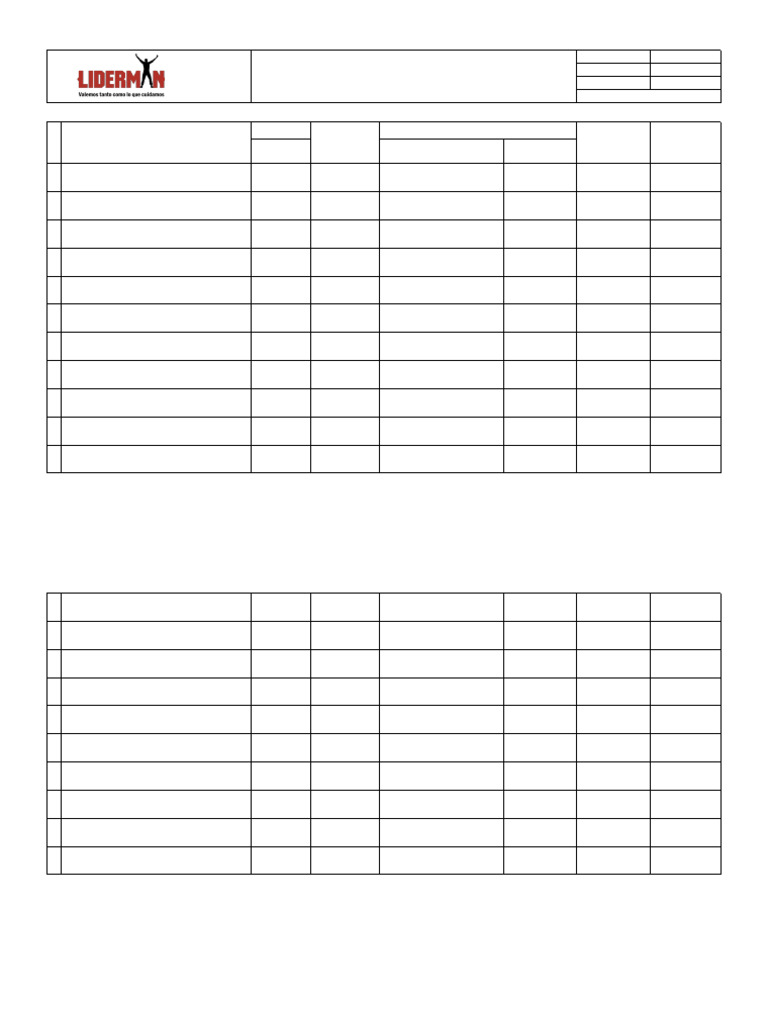 Formatos Sgi 2024 - Impresion | PDF