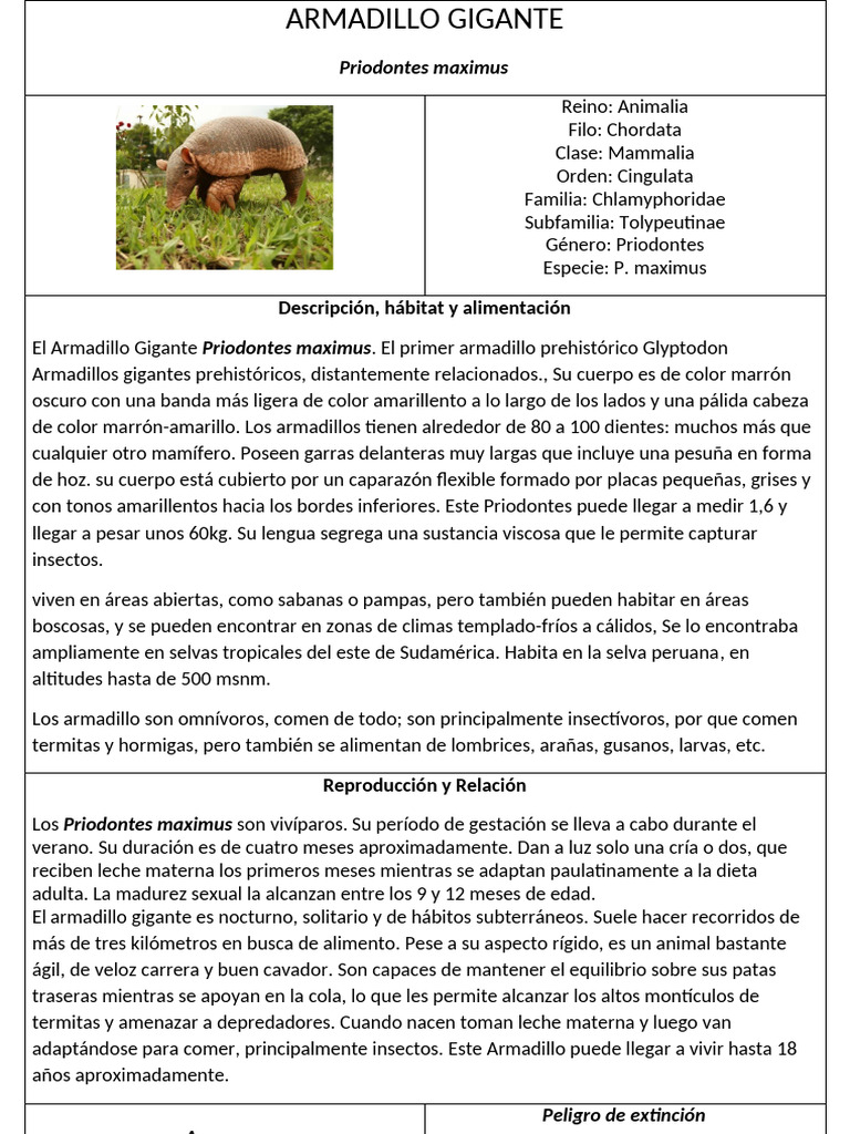 Armadillo Gigante | PDF