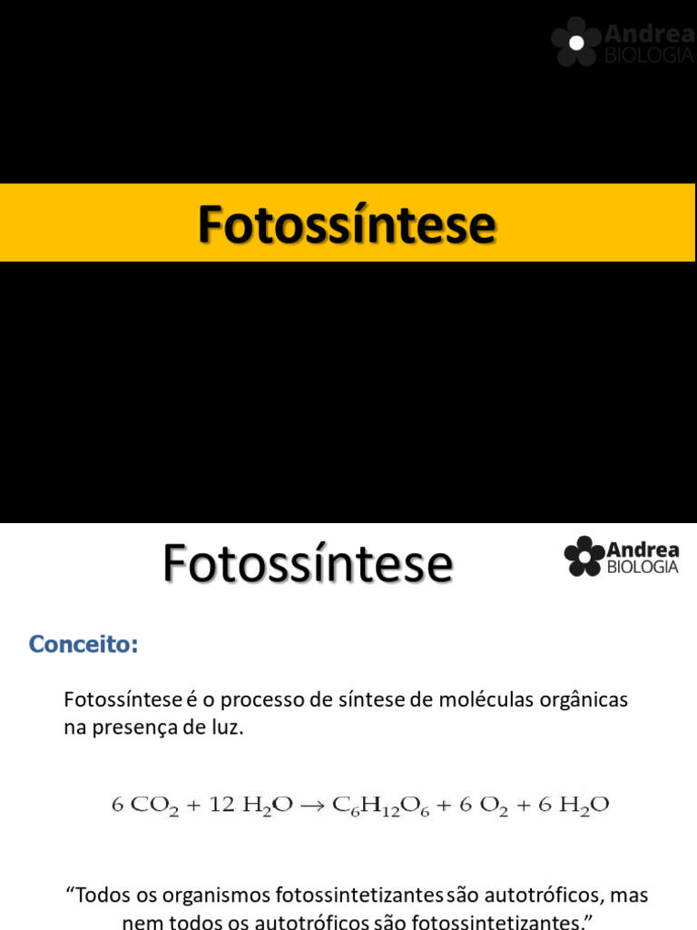 Fotossintese e Quimiossintese | PDF