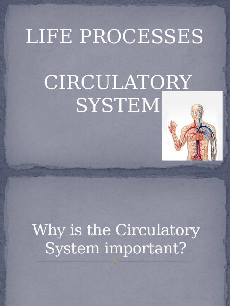 Circulatory System Part 1 | PDF