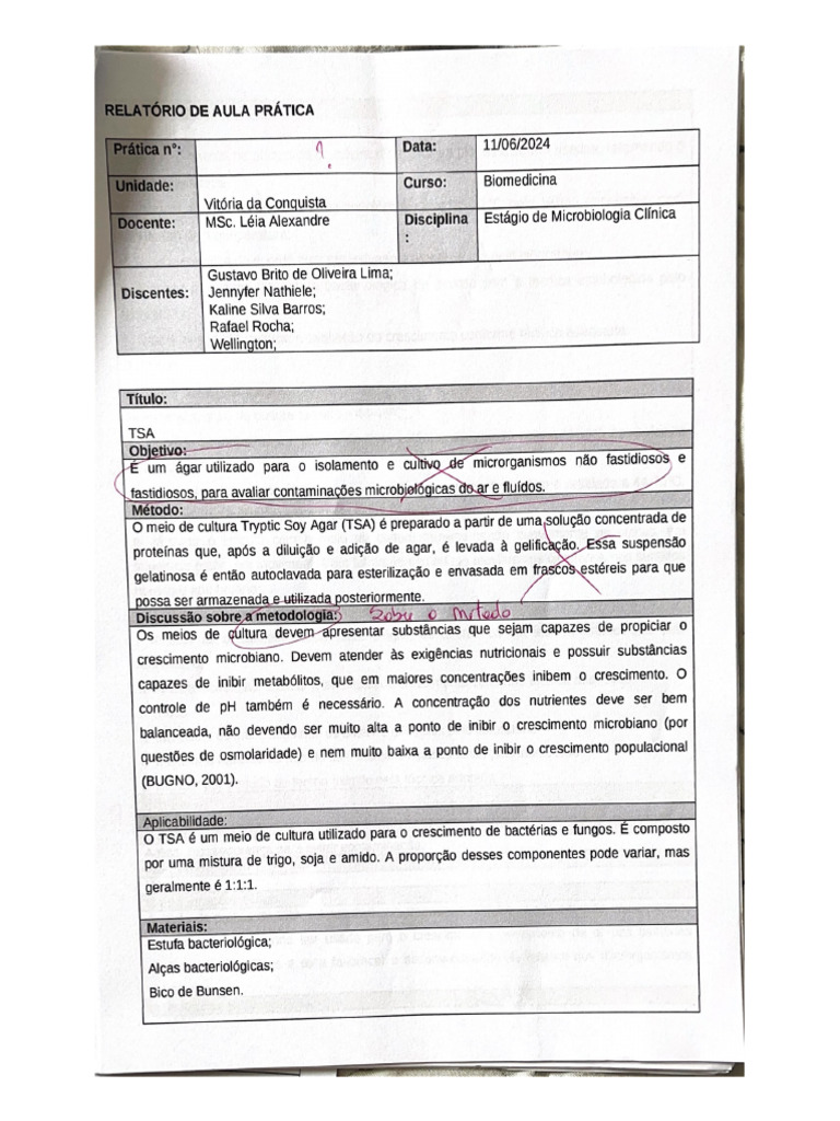 RELATÓRIO DE AULA PRÁTICA | PDF