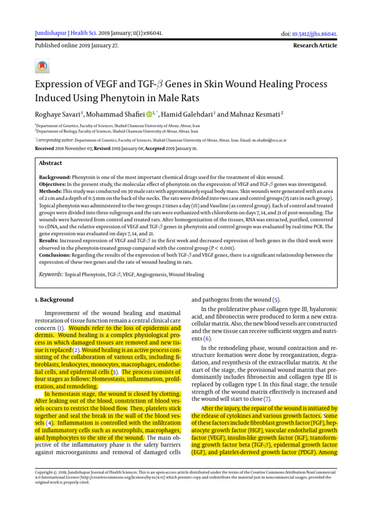 Ekspresi Vegf Dan Tgf Beta Pada Wound Healing Pdf