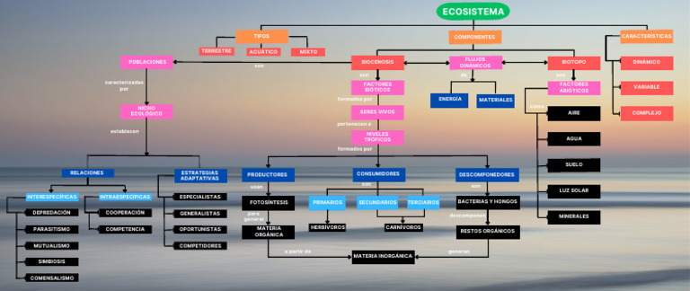 Ecosistema - Mapa Conceptual | PDF