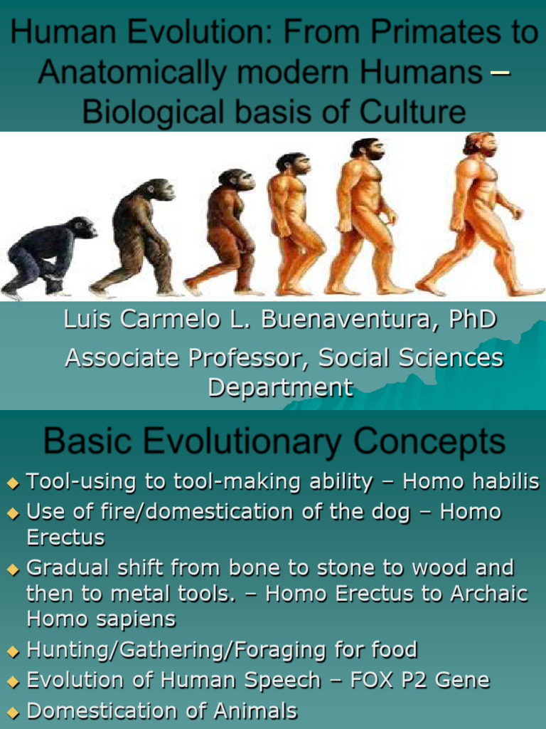 Human Evolution Part 1 (Dr. Buenaventura 2015) | PDF