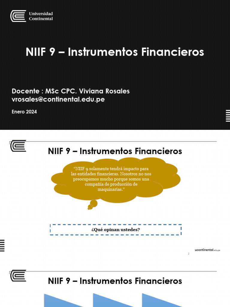 NIIF 9 | PDF