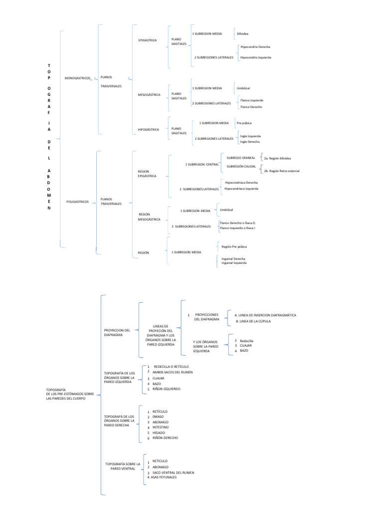 CUADROS SINOPTICO DEL ABDOMEN Ultimo | PDF