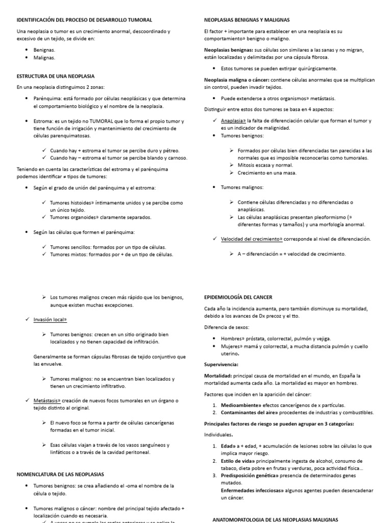 Resumen Tema 5 (1) | PDF