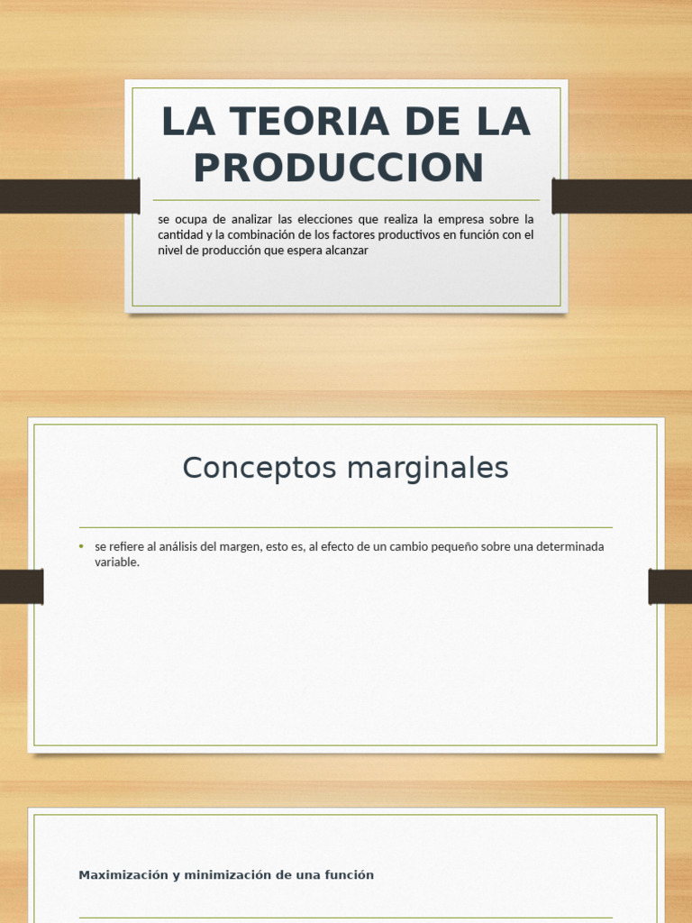 Micro Presentacion | PDF