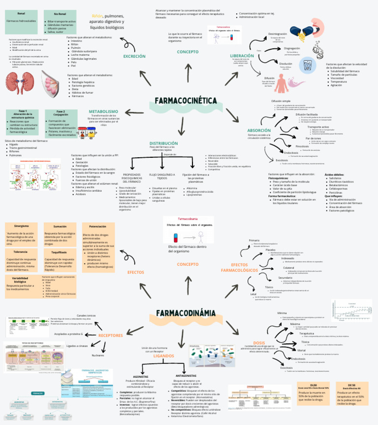 Farmacocinética y Farmacodinámia - 20240711 - 154114 - 0000 | PDF
