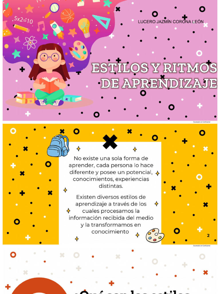 Estilos y Ritmos de Aprendizaje | PDF