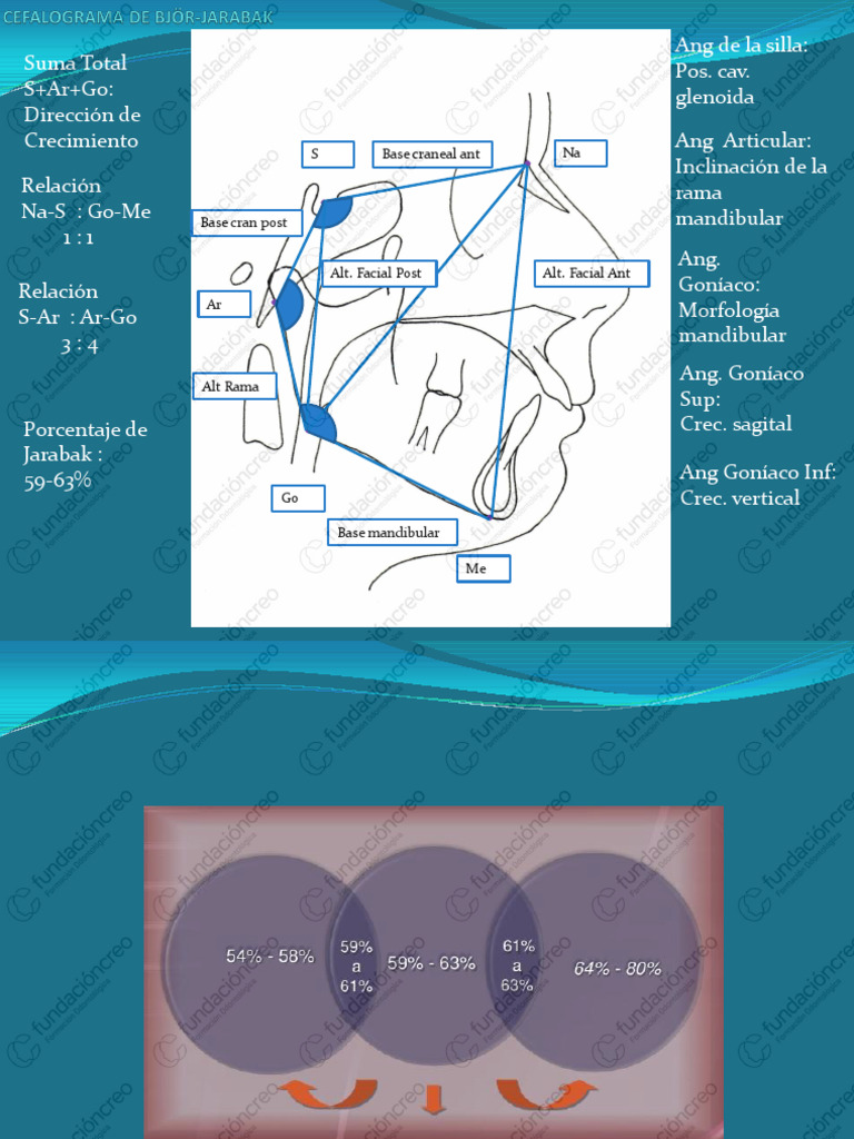 Cefalograma de BJÖRK-JARABAK | PDF