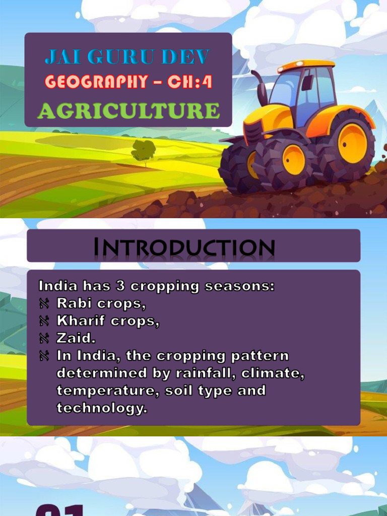 Crop Pattern | PDF