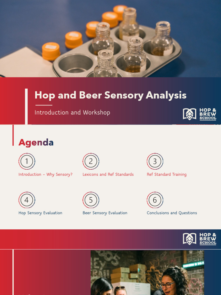 Hop Beer Sensory Analysis | PDF