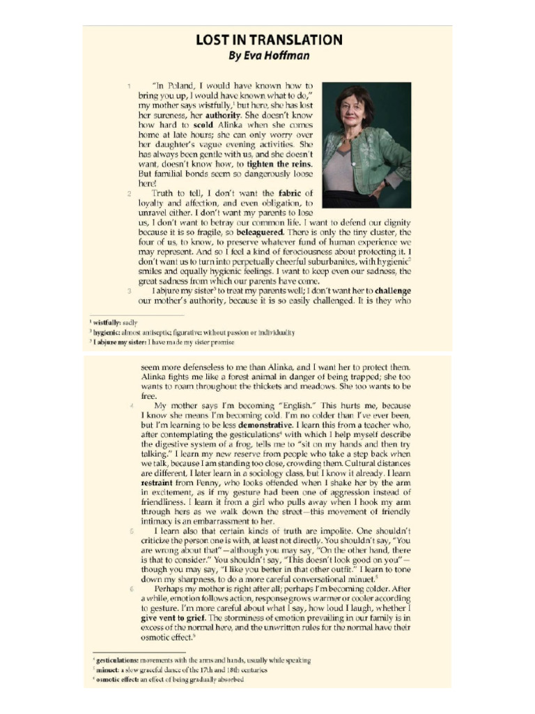 Lost in Translation | PDF