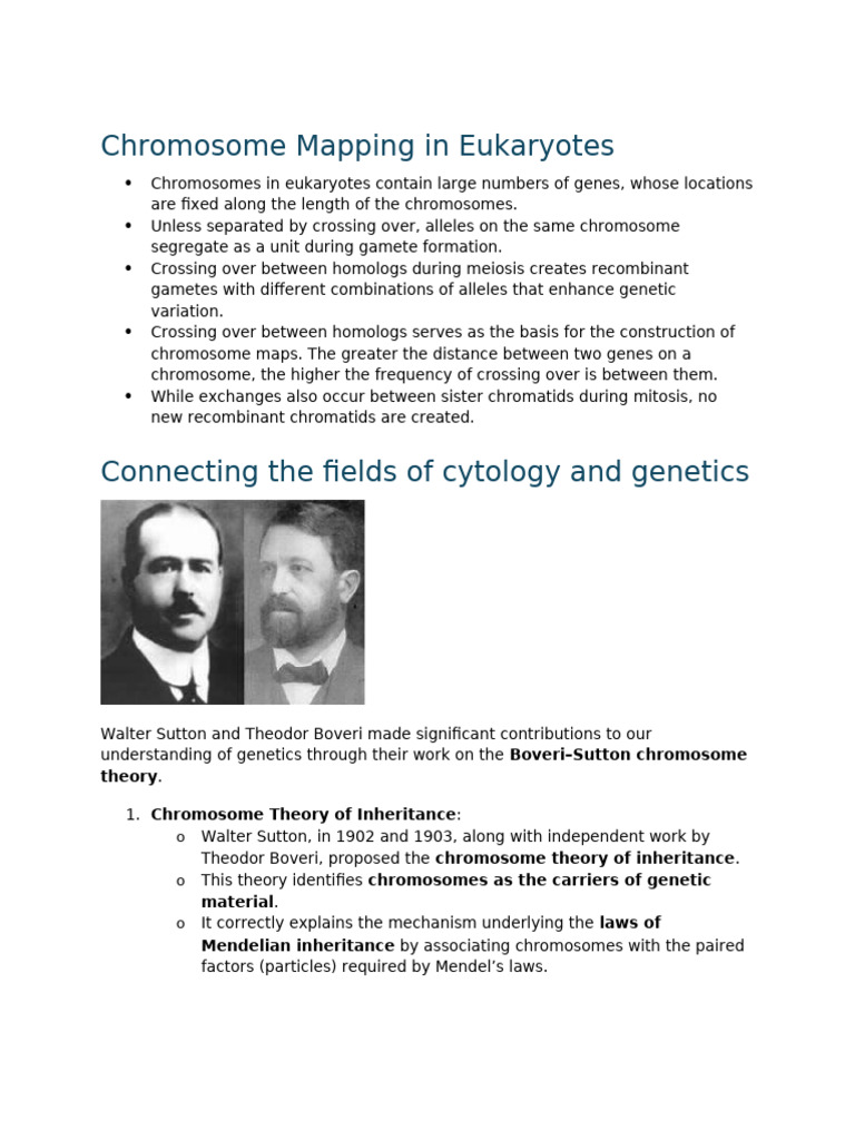 Genetics Chapter 7 | PDF