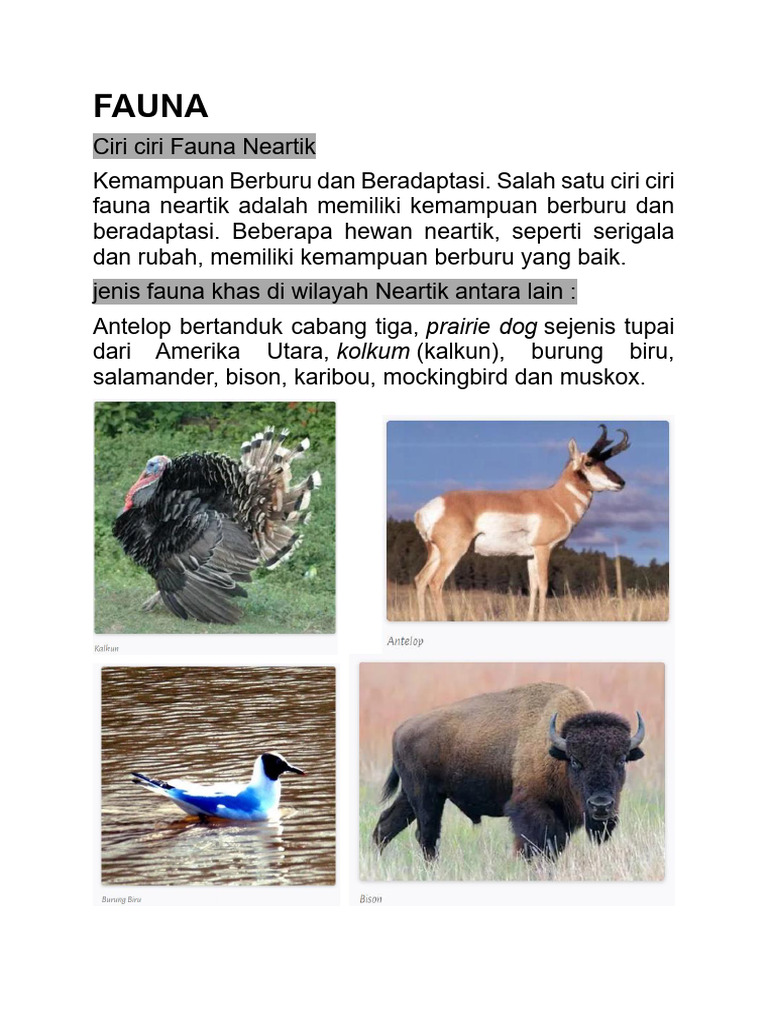 Tugas Esema | PDF