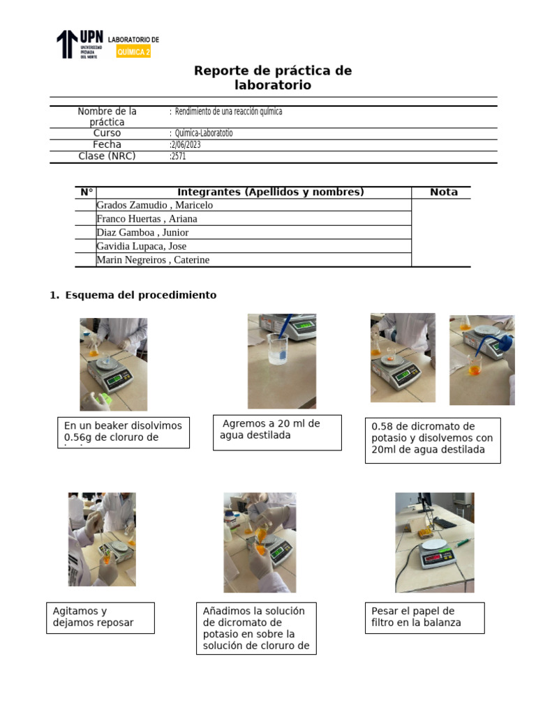 FORMATO- LABORATORIO | PDF