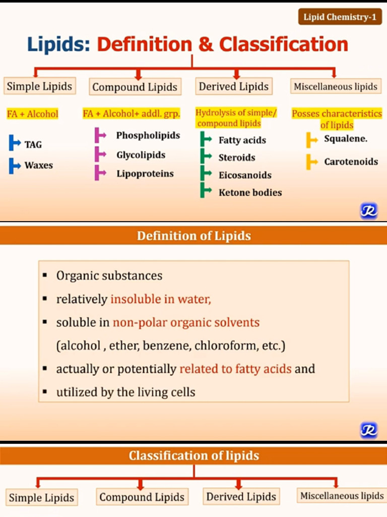 LIPIDS | PDF