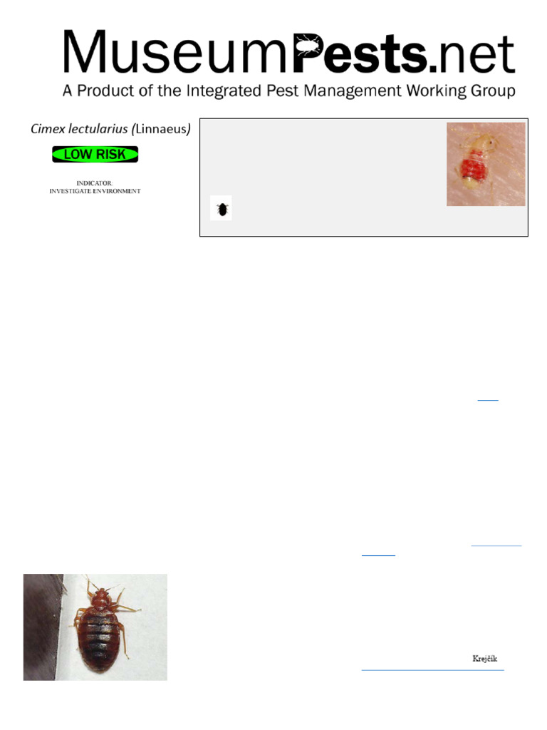 Bed Bug | PDF