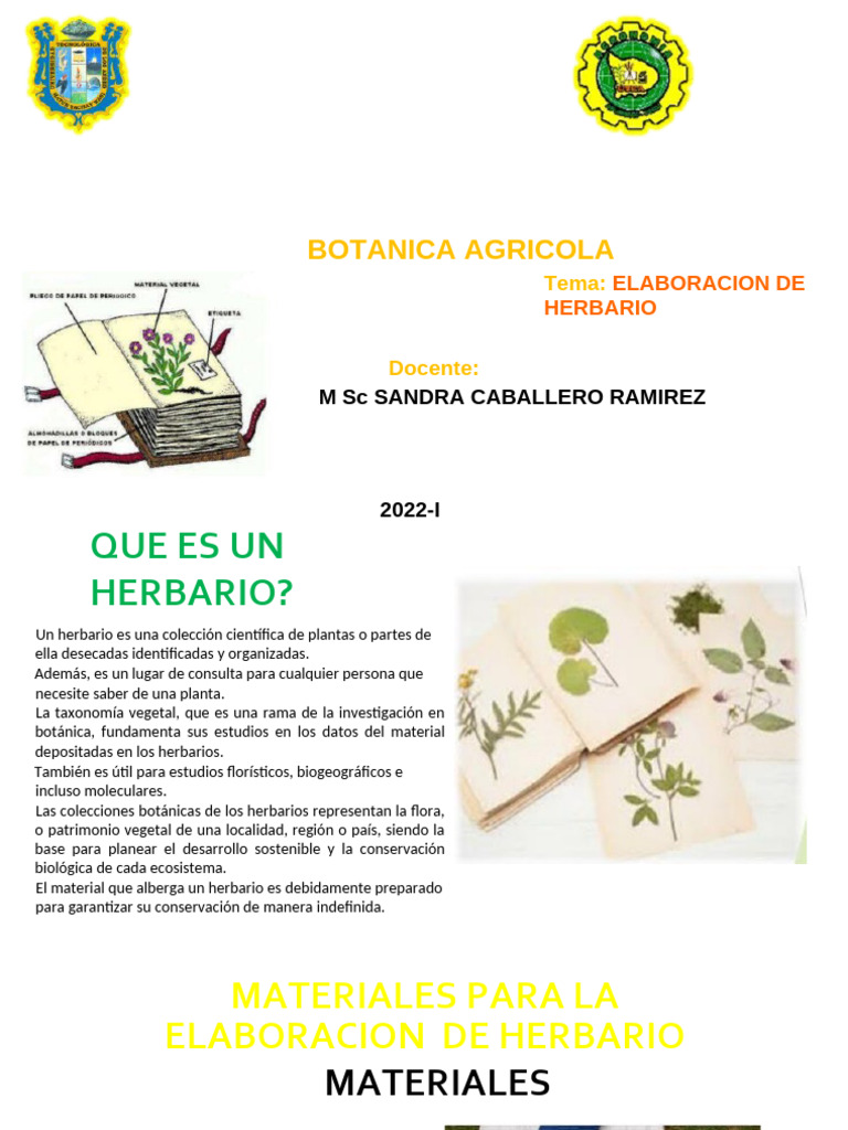 HERBARIO | PDF