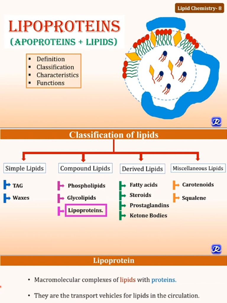 Lipoproteins | PDF