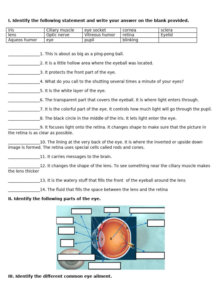 Quiz in Science-Parts of The Eye | PDF