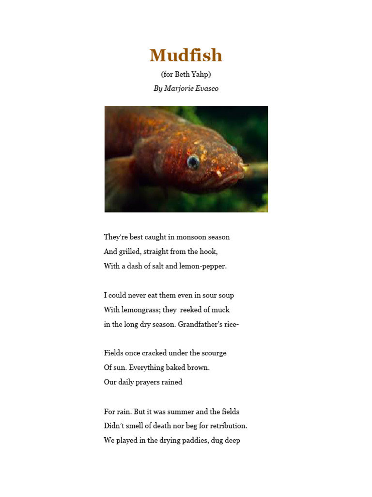 2 Mudfish | PDF