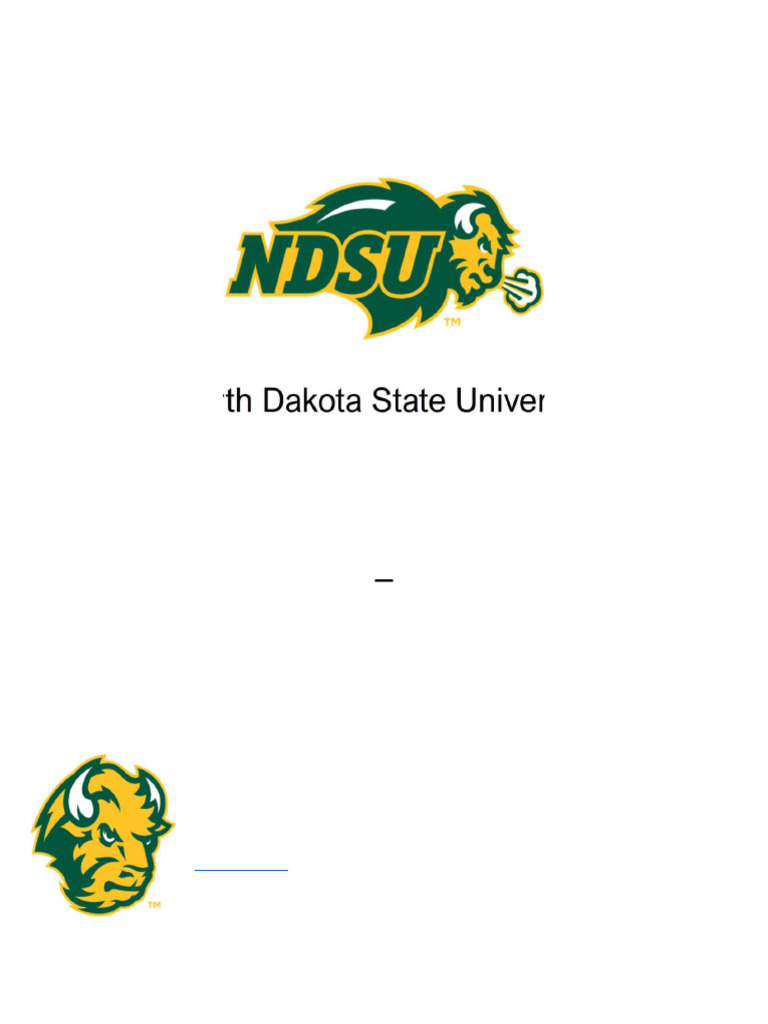NDSU Cheer Team Tryout Packet 2024-25 2 | PDF