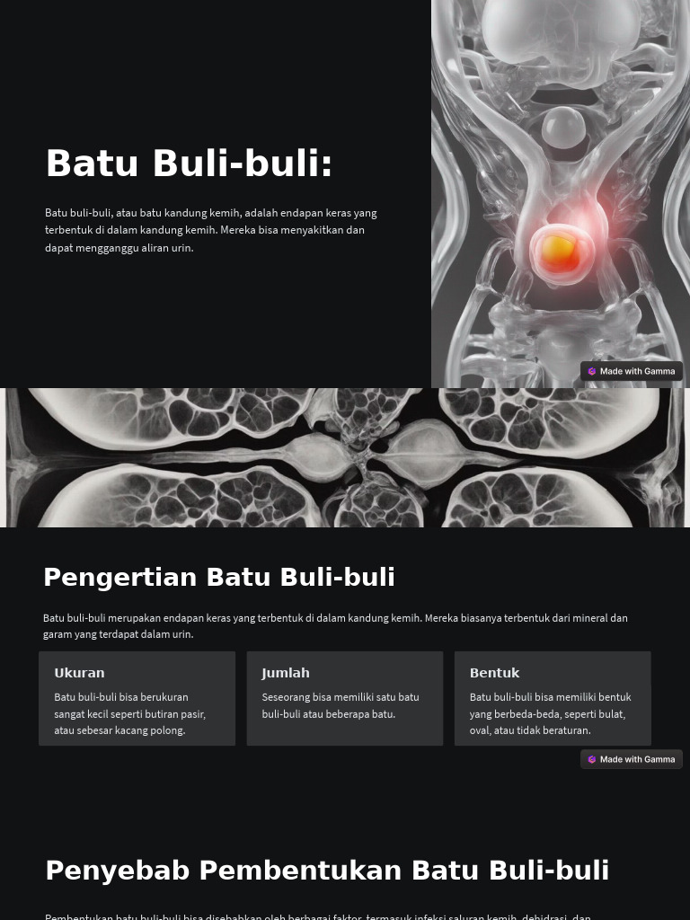 Batu Buli Buli | PDF