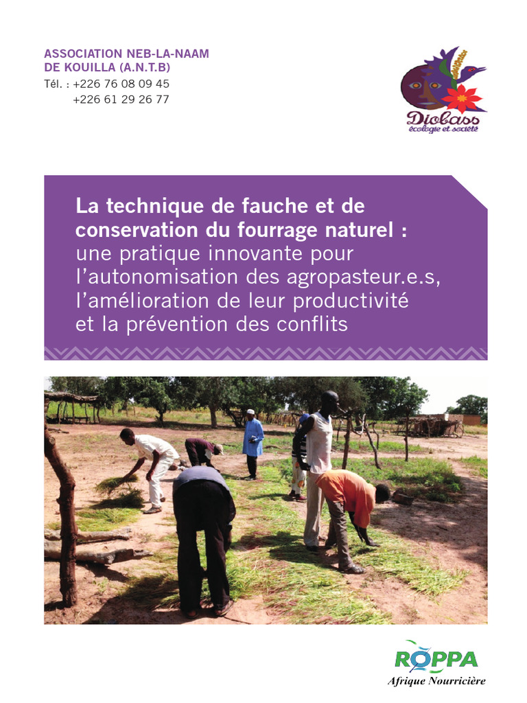 La Technique de Fauche Et de Conservation Du Fourrage Naturel | PDF