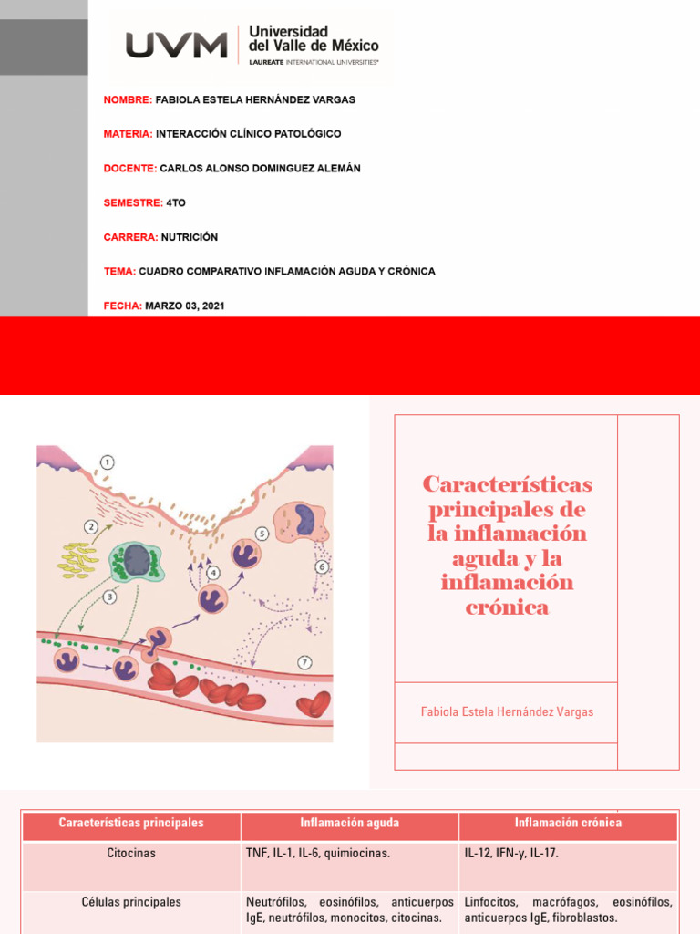 cuadro comp inflamaciones | PDF