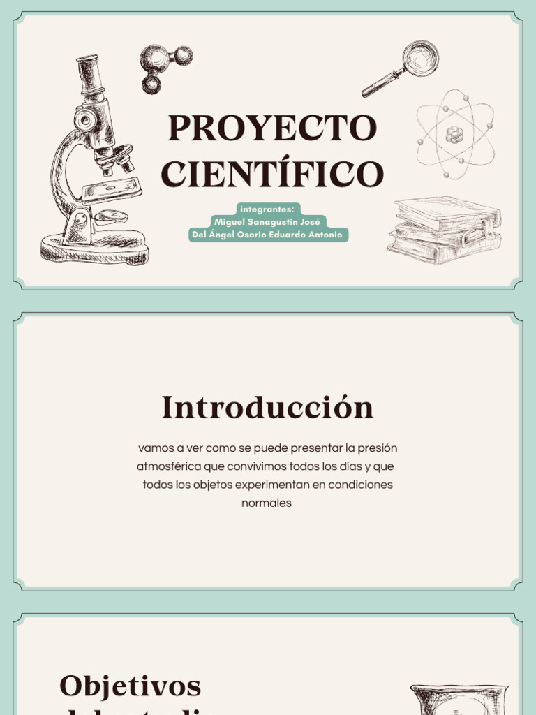 Presentación Proyecto | PDF