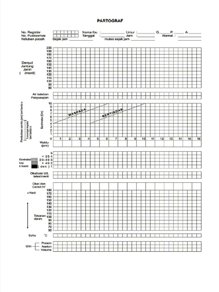 PDF Partograf Kosong - Compress | PDF