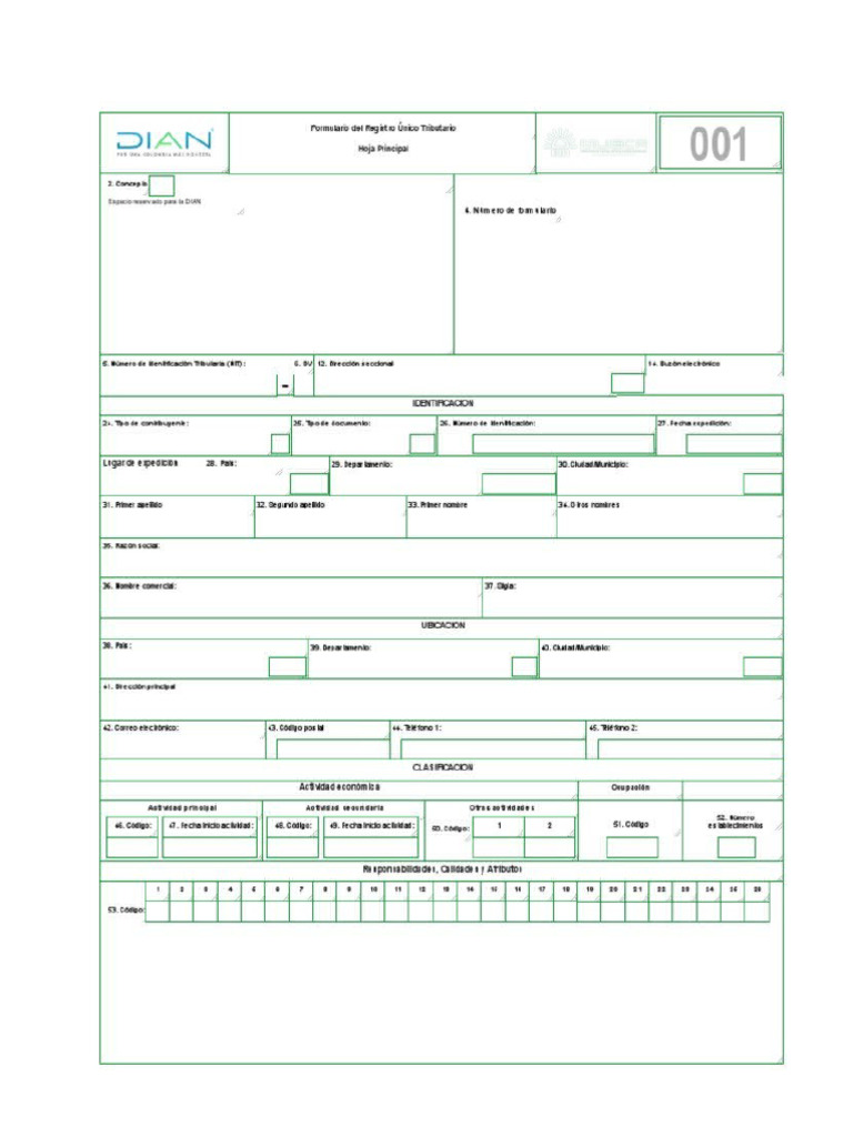 formato de rut | PDF