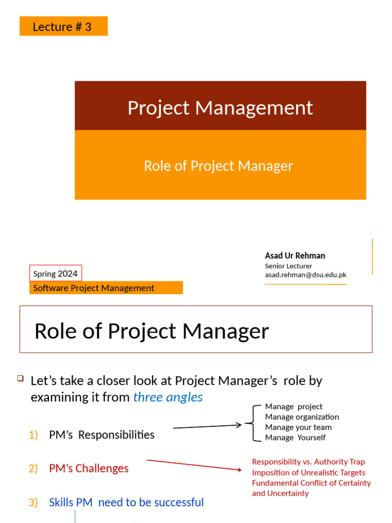3- Role of Project Mgr | PDF