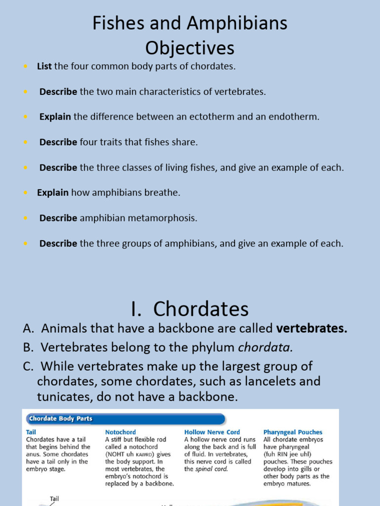 LS - Fishes and Amphibians | PDF