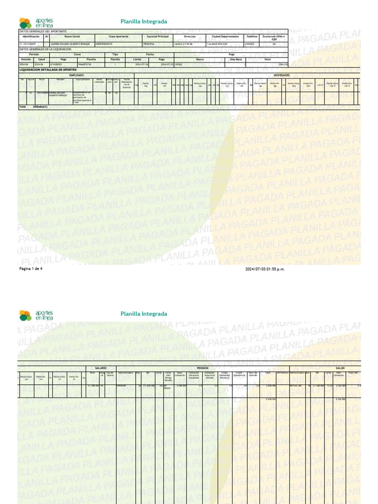 Planilla Gilber Junio | PDF